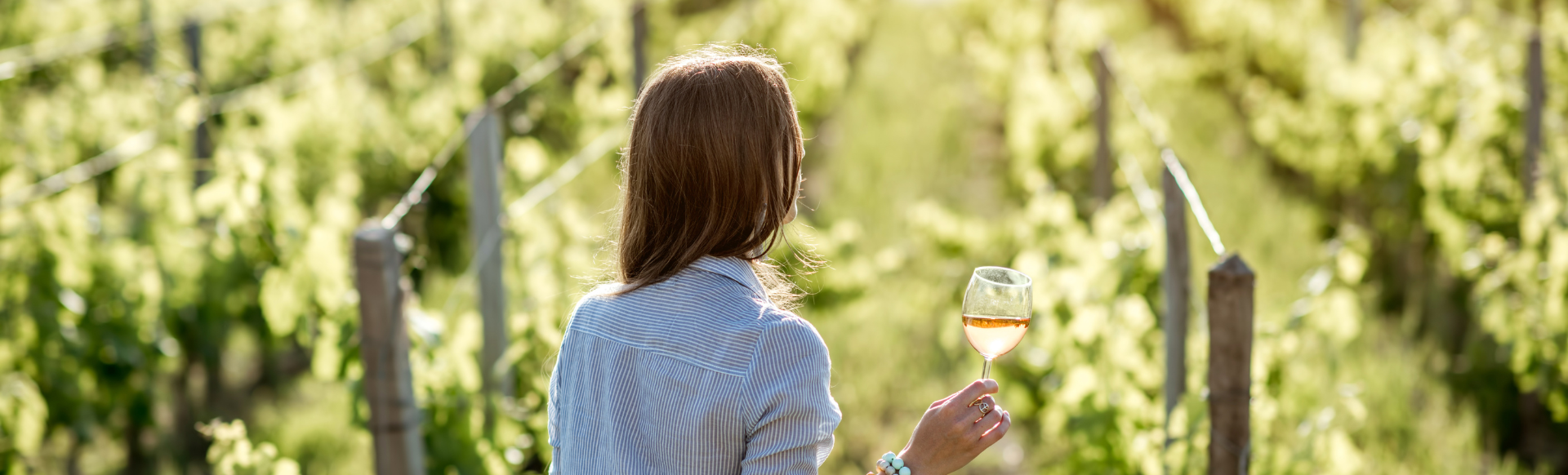 Pays Foyen | S'installer en ZAE